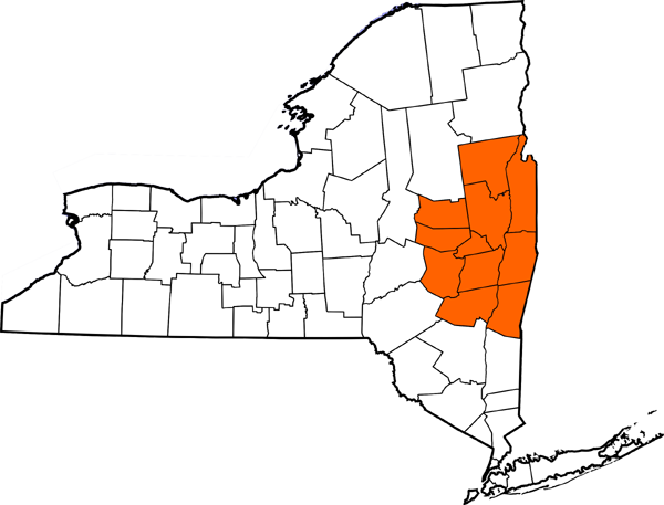 CDRA – Championships Favor The Bold